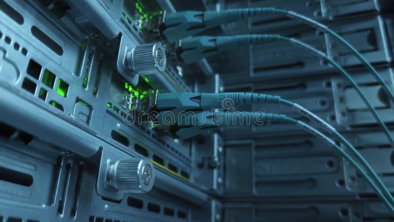 Fiber Optic Cable and Blur LED Port Status is Blink. Close Up. Stock ...