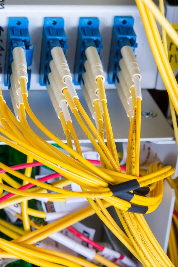 Fiber Optic Cables Connected into Main Data Switch Stock Image - Image ...