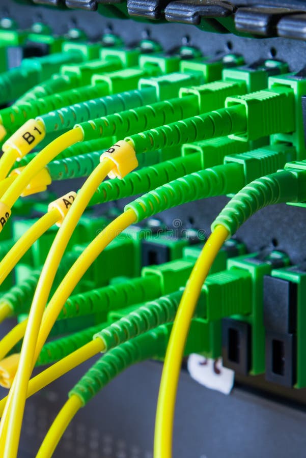 Fiber Optic Cables Connected To Optic Ports, Network Cables Conn Stock ...