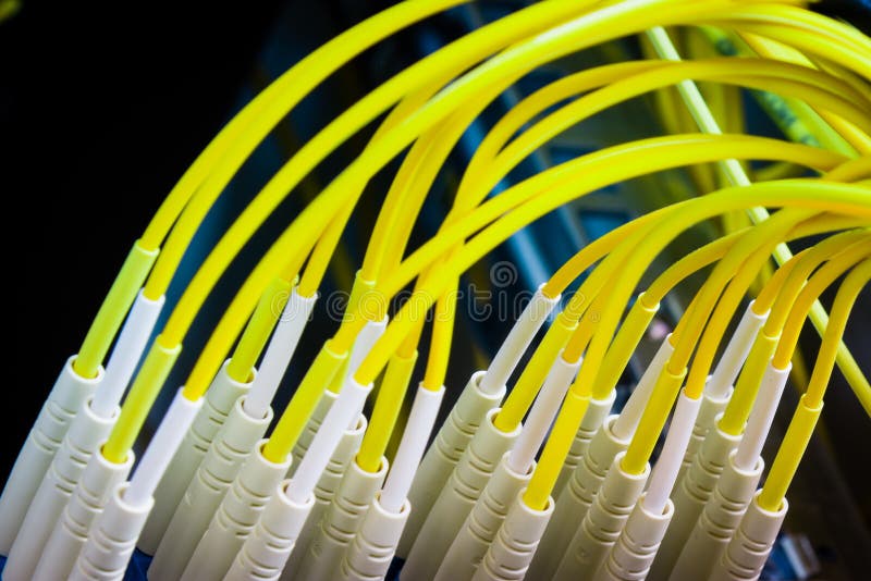 Fiber Optic Cables Connected into Main Data Switch Stock Image - Image ...