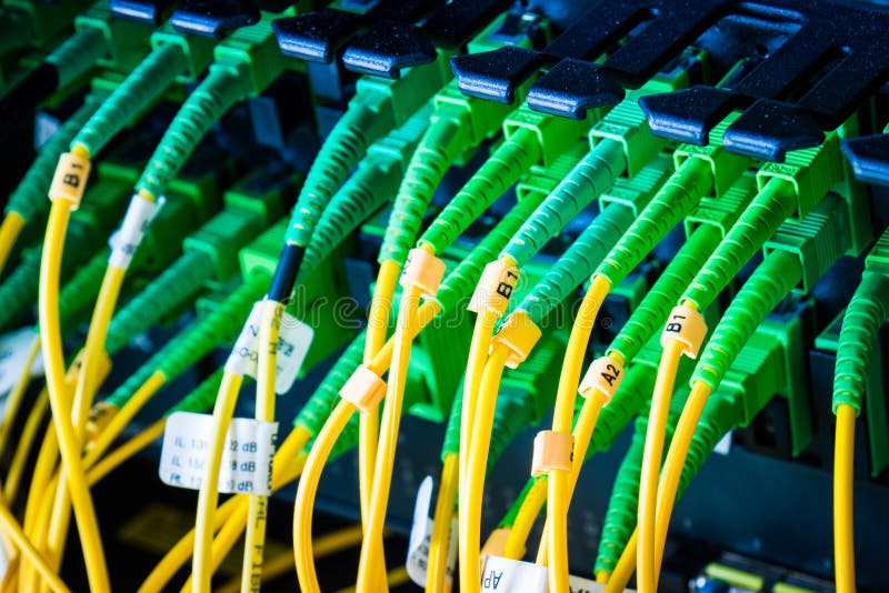 Fiber Optic Cables Connected To an Optic Ports Stock Image - Image of ...