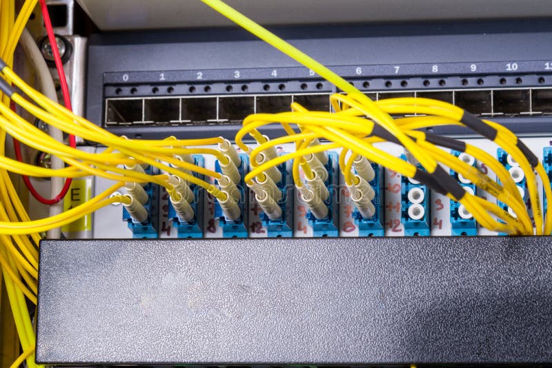 Fiber Optic Cables Connected To an Optic Ports Stock Image - Image of ...