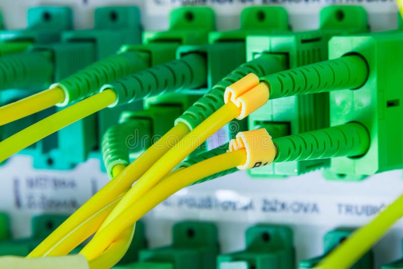 Fiber Optic Cables Connected into Main Data Switch Stock Photo - Image ...