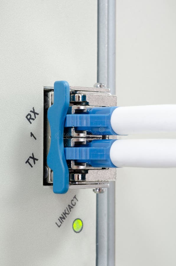 Fiber Optic Cables Connected To an Optic Ports Stock Photo - Image of ...