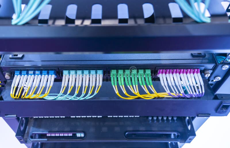 Fiber Optic Cables Connected To Optic Ports Stock Photo - Image of high ...