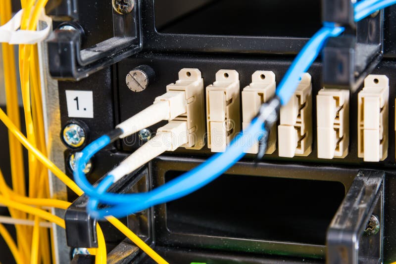 Fiber Optic Cables Connected To an Optic Ports Stock Photo - Image of ...