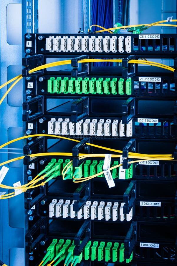 Fiber Optic Cables Connected To an Optic Ports Stock Photo - Image of ...