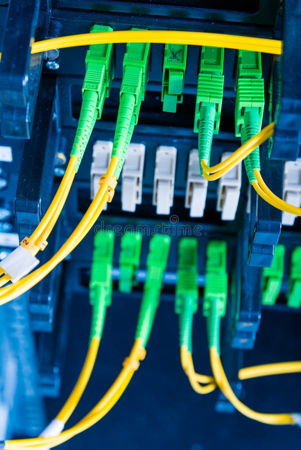 Fiber Optic Cables Connected To an Optic Ports Stock Image - Image of ...