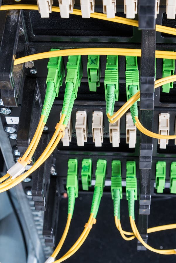 Fiber Optic Cables Connected To an Optic Ports Stock Photo - Image of ...