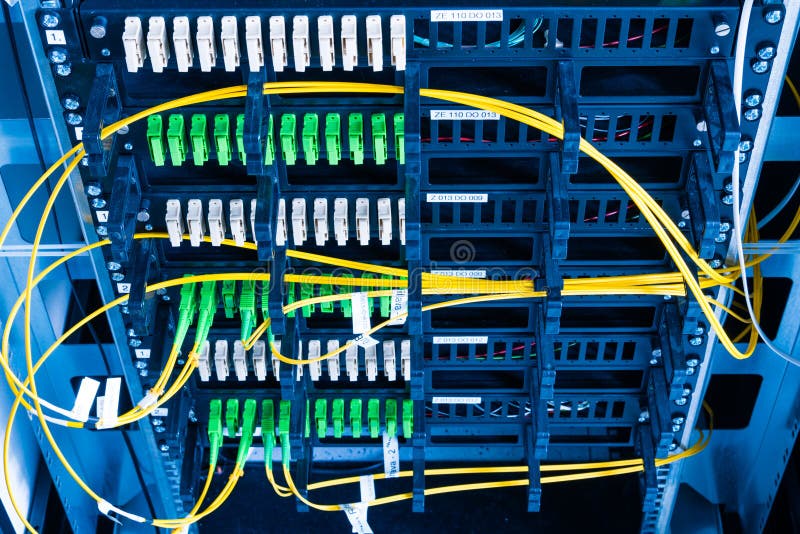 Fiber Optic Cables Connected To an Optic Ports Stock Image - Image of ...