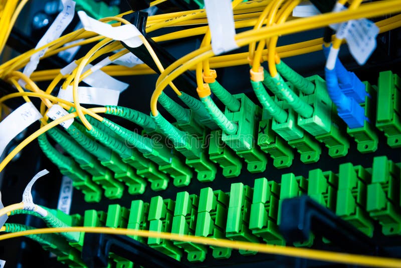 Fiber Optic Cables Connected To an Optic Ports Stock Image - Image of ...