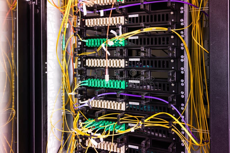 Fiber Optic Cables Connected To an Optic Ports Stock Photo - Image of ...