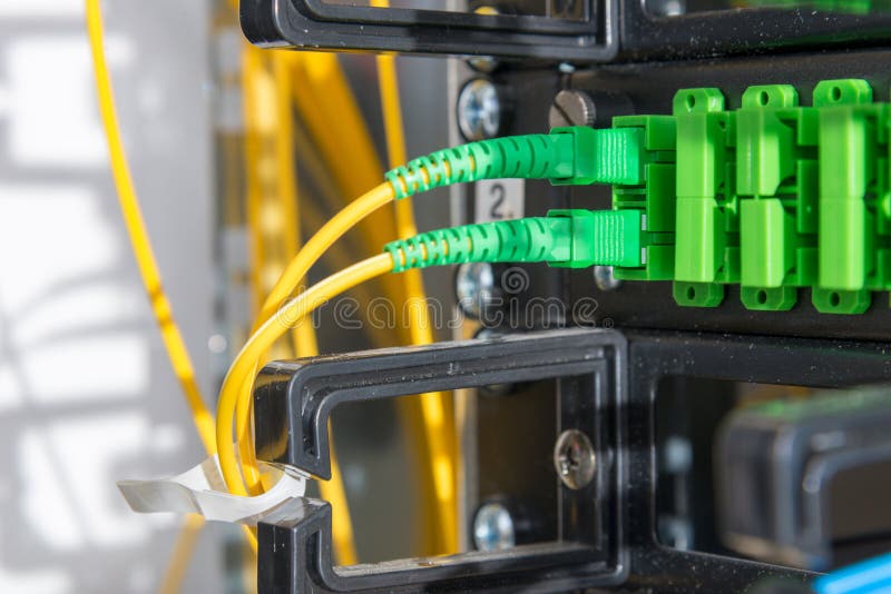 Fiber Optic Cables Connected To an Optic Ports Stock Photo - Image of ...