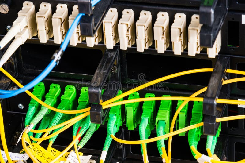 Fiber Optic Cables Connected To an Optic Ports Stock Photo - Image of ...