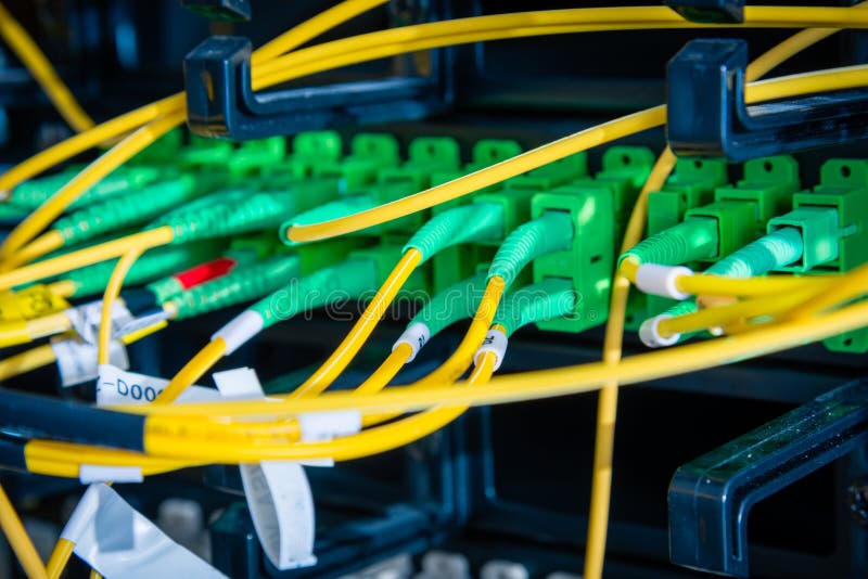 Fiber Optic Cables Connected To an Optic Ports Stock Photo - Image of ...