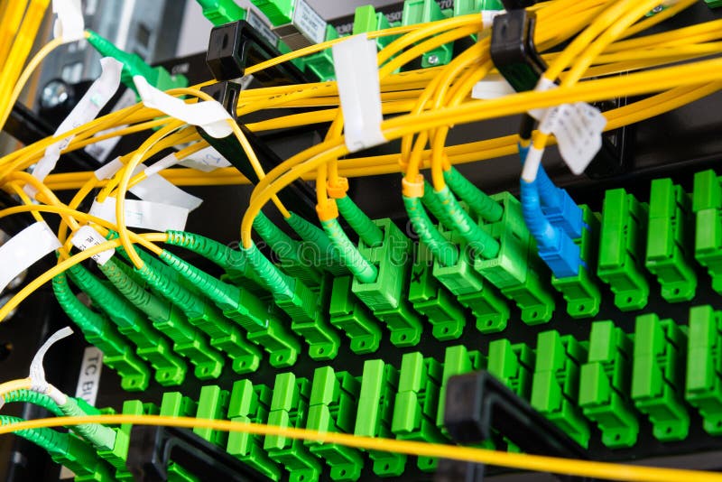 Fiber Optic Cables Connected To an Optic Ports Stock Image - Image of ...