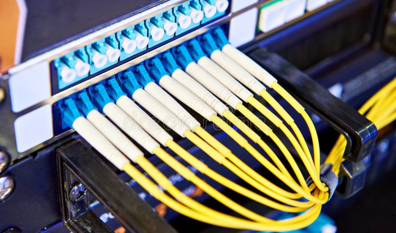 Fiber Optic Cables with Connectors on Switch Stock Photo - Image of ...