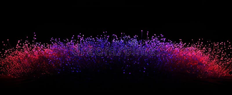 Fiber Optic Cables are Glowing in Vibrant Pink and Purple Hues Against ...