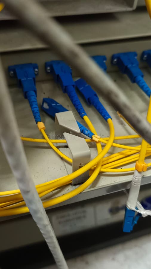 Fiber Optic Cables in Network Rack Stock Image - Image of data ...
