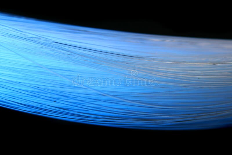 Fiber Optic Computer Cables Stock Photo - Image of hand, internet: 2543862