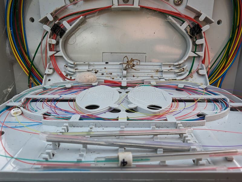 The Fiber Optic Distribution Box for Operation and Cleaning Stock Photo ...