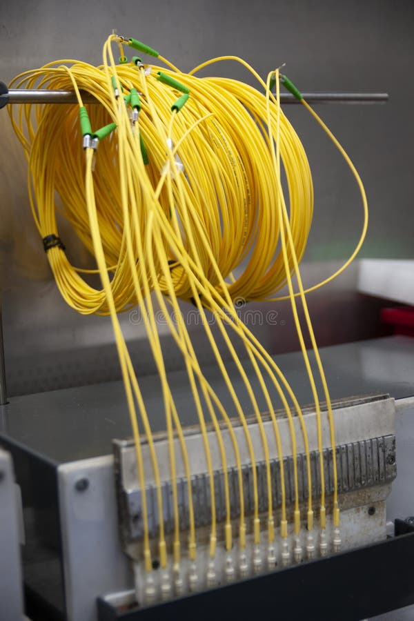 Patch cord in testing stock image. Image of cable, laser - 335071417