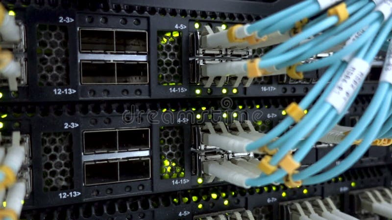 UTP Cables are Connected To a Network Switch. Network Activity on ...