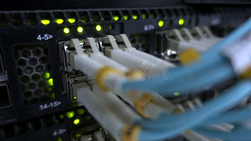 UTP Cables are Connected To a Network Switch. Network Activity on ...