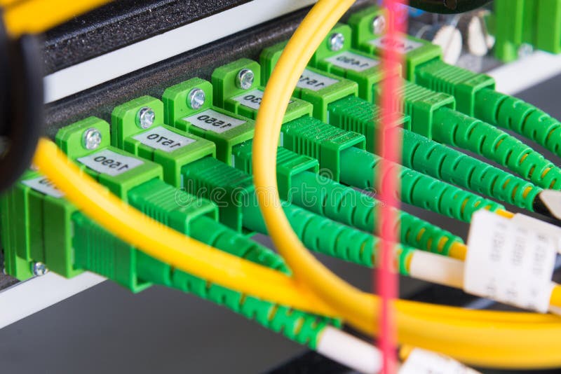 Fiber Optics Cables Connected To Ports Stock Photo - Image of fibre ...
