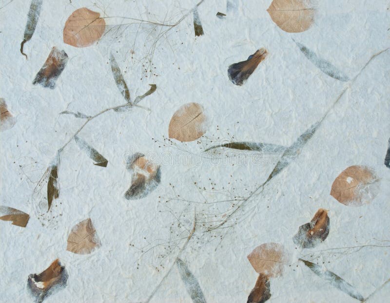 Fiber paper texture stock photo. Image of sheeting, pulp - 20286656