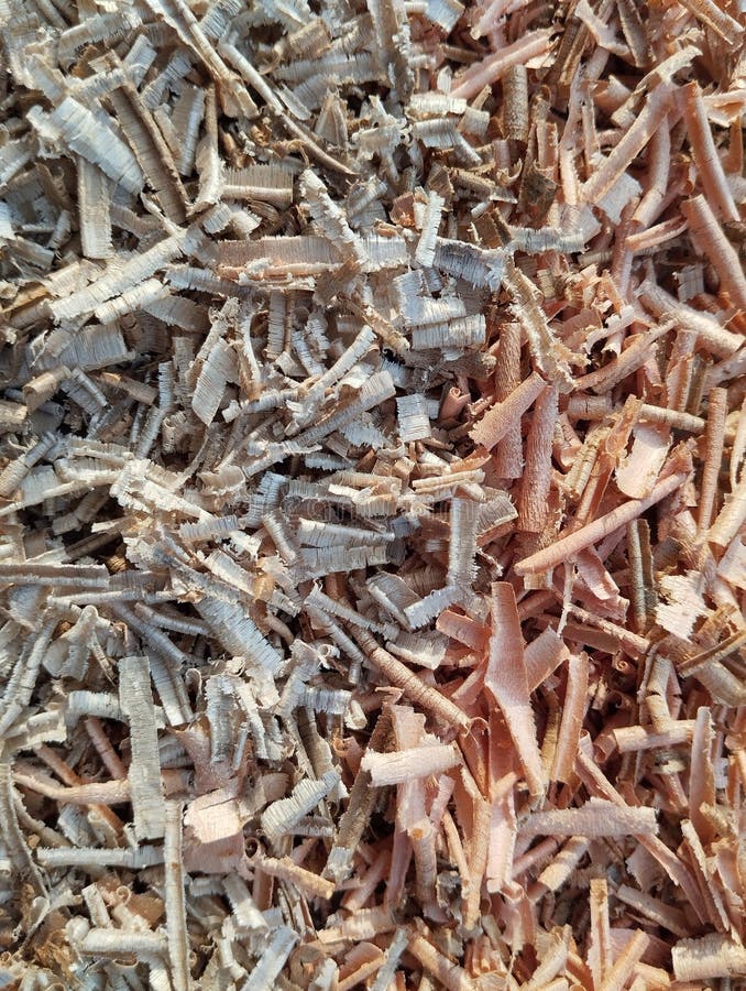 Fiber Waste from Shaved Wood Stock Photo - Image of shaved, fiber ...