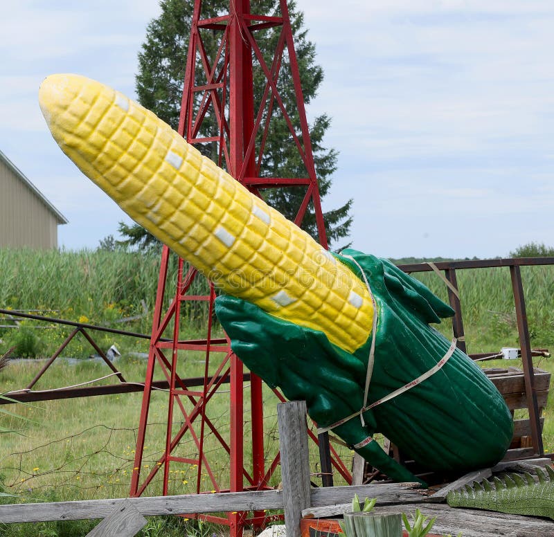 Fiberglass Sweet Corn Cob Statues Editorial Photography - Image of ...