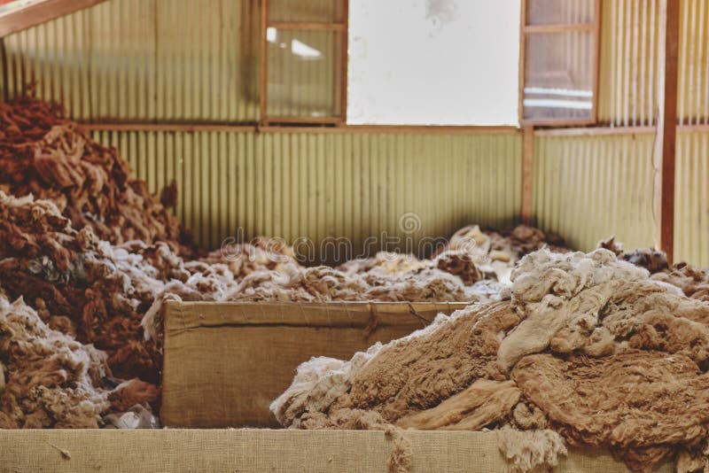 Fibers in an Alpaca Wool Manufacturing Facility. Alpaca Wool Production ...