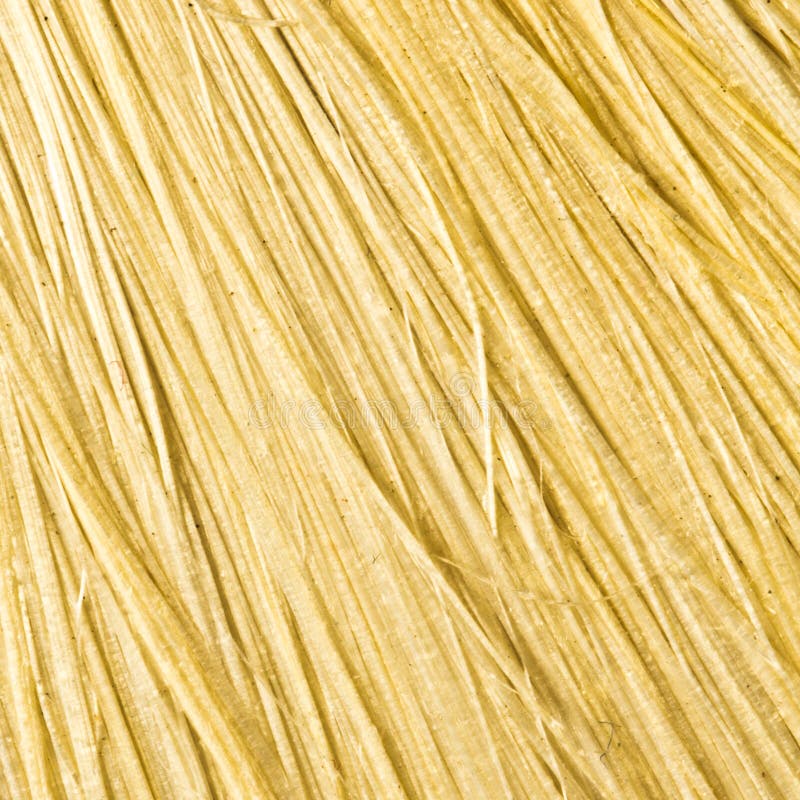 Fibers of wood stock image. Image of material, abstract - 28590081