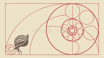 Fibonacci Spiral Pattern, Mathematical Sequence in Nature with Golden Ratio Design Element ...