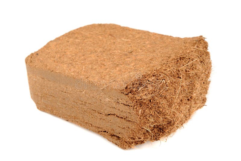 Fibra De Coco Do Coco Isolada No Fundo Branco Foto de Stock - Imagem de ...