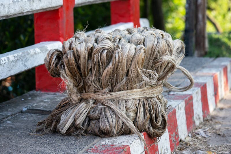 Fibra De Yute Cruda De Yute De Yute Vegetal Colgante Foto de archivo ...