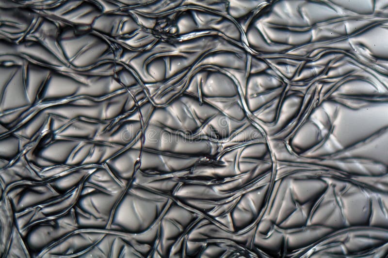 Fibras Del Acetato De Celulosa Debajo Del Microscopio Foto de archivo ...