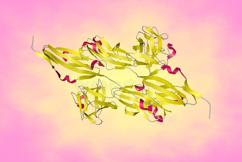 Crystal Structure of Fibroblast Growth Factor 1 (FGF1) in Complex with ...
