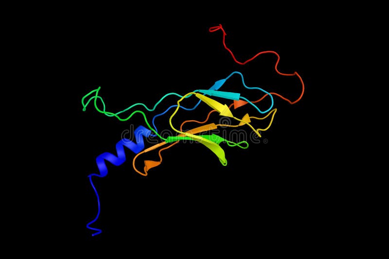 Fibronectin Type-III Domain-containing Protein 3a is a Protein T Stock ...