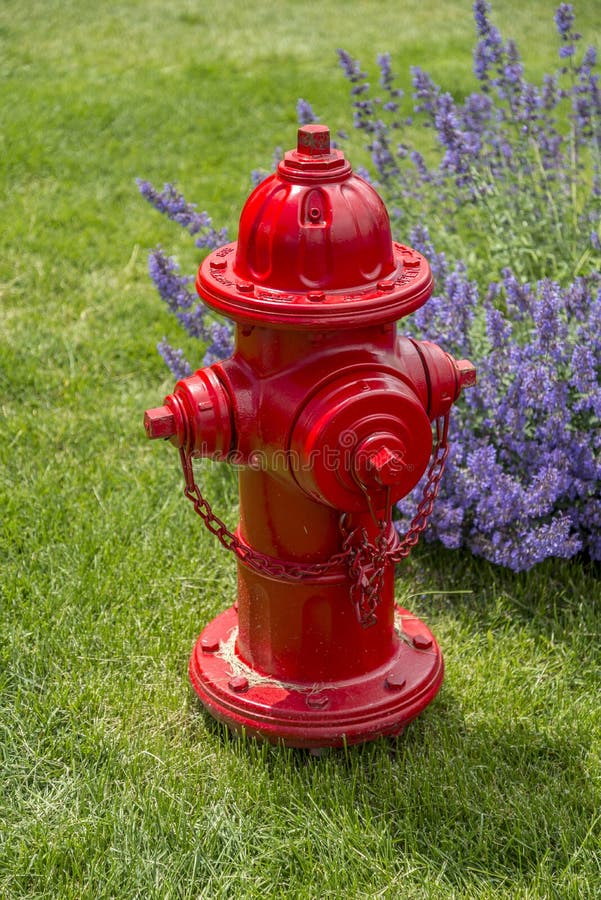 Fiche d'incendie rouge image stock. Image du boyau, concept - 20509891