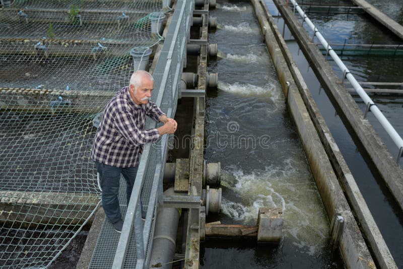 Ficherman Looking at Water Dam Stock Photo - Image of barrage, fishing ...