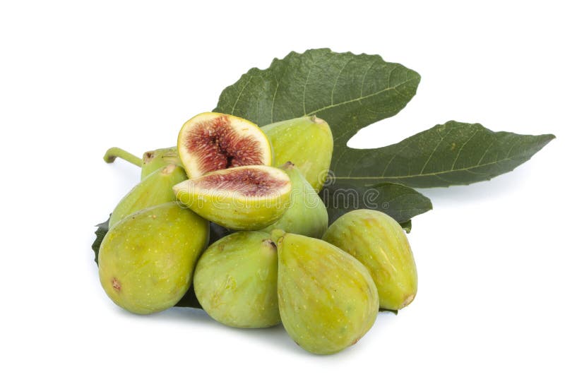 Fichi immagine stock. Immagine di bianco, frondeggia - 76324915
