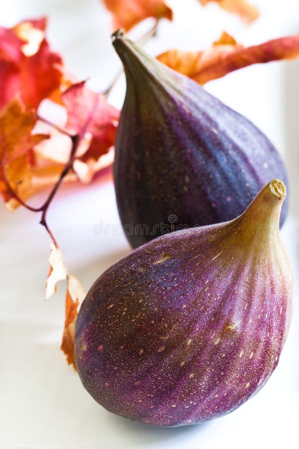 Frutta Viola Matura Del Fico Immagine Stock - Immagine di dolce, viola ...