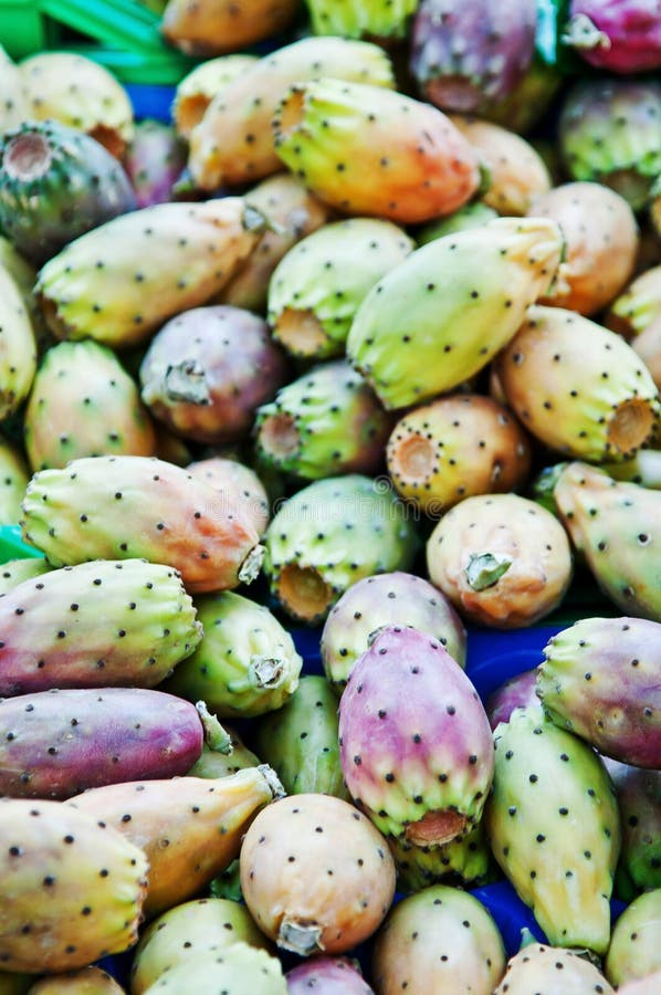 Fico d'India fotografia stock. Immagine di isolato, fico - 21819242