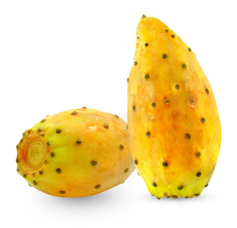 Fico d'India fotografia stock. Immagine di sfondo, succulente - 43168304