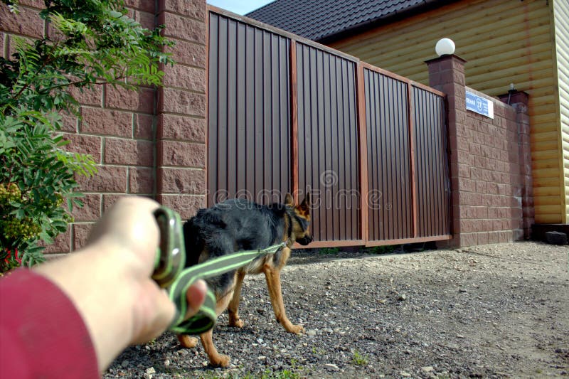 206 Background Fictional Pattern Stock Photos - Free & Royalty-Free ...