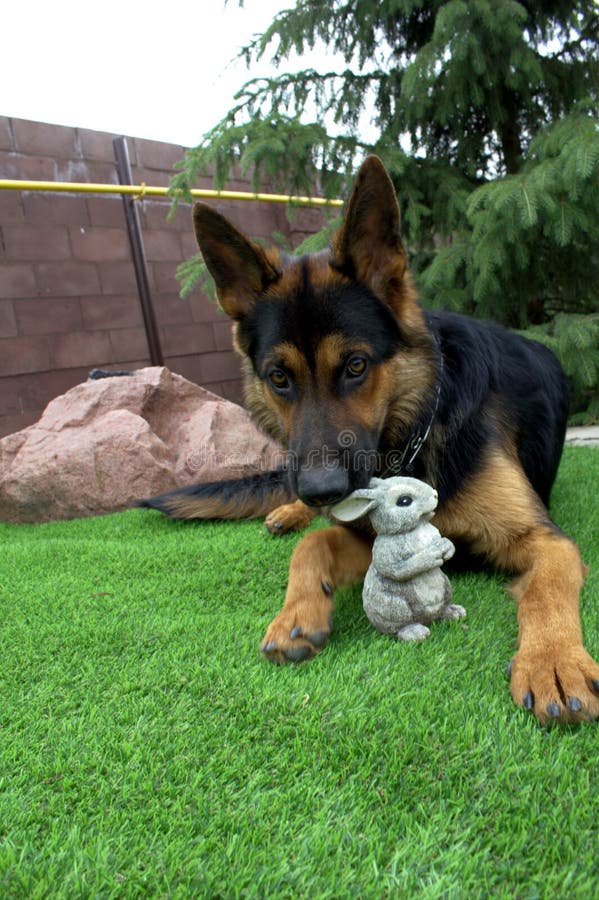 Fictional Pattern for a Tattoo on a Black Background Stock Photo ...