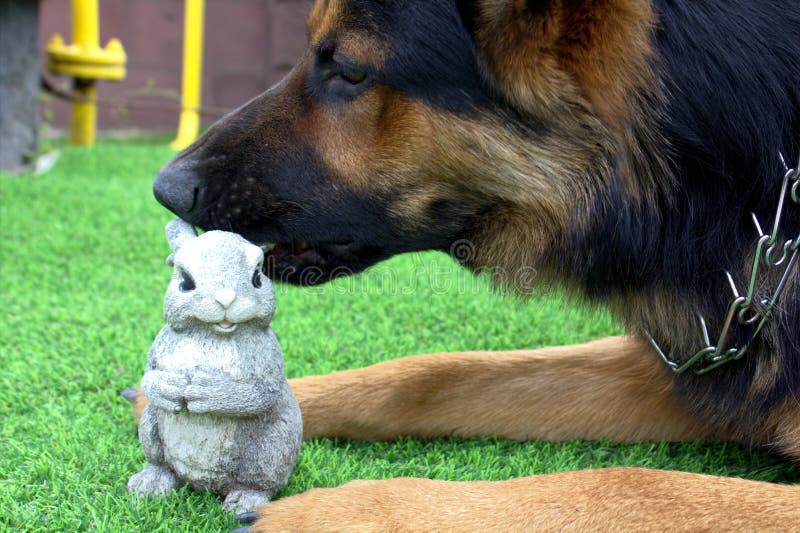 206 Background Fictional Pattern Stock Photos - Free & Royalty-Free ...