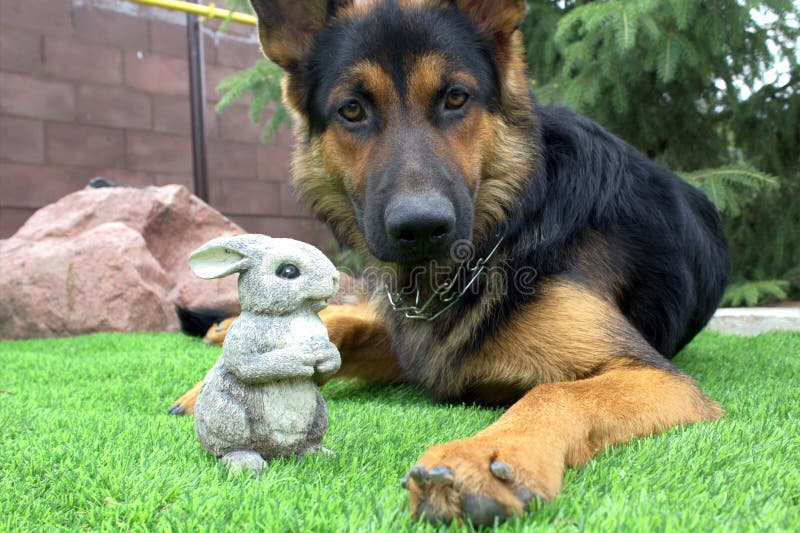 206 Background Fictional Pattern Stock Photos - Free & Royalty-Free ...